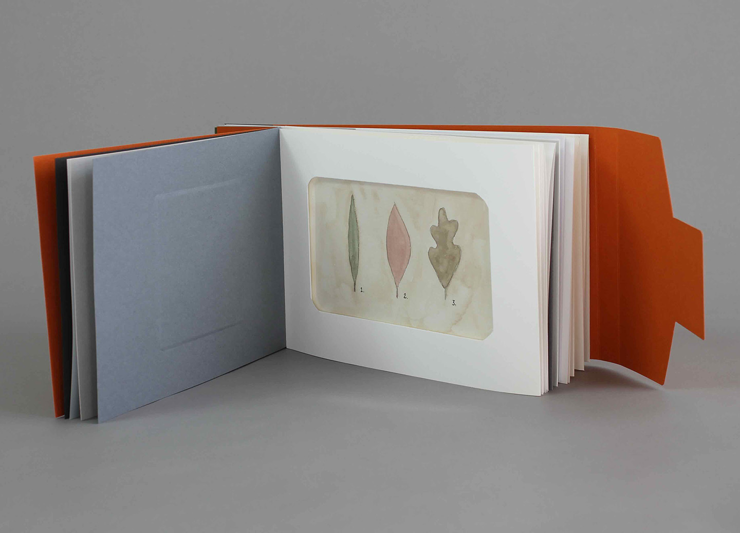 Book Arts Summer Institute 2024 - Arts at Wells